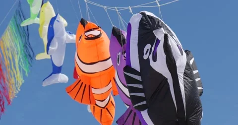 A Bunch of Fish Tied to The String Are T... | Stock Video | Pond5