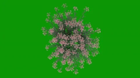 Animated E Stock Videos – Royalty-Free HD & 4K Videos | Pond5