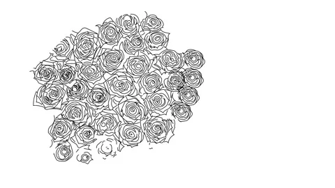 Bunch of roses. Top view. Hand drawing a... | Stock Video | Pond5