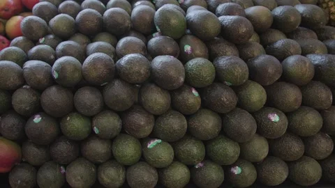 A bunch of shiny avocados in the produce... | Stock Video | Pond5