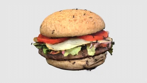 Sandwich Transparent Background Stock Videos – Royalty-Free HD & 4K ...