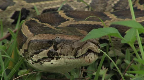 Myanmar Stock Video Footage | Royalty Free Myanmar Videos | Pond5