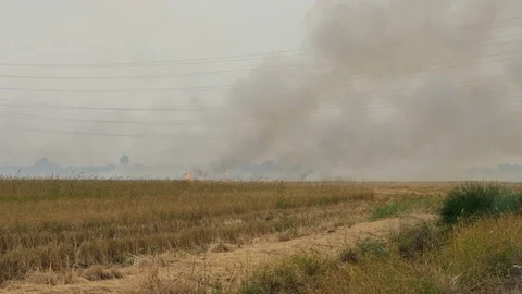 Burn the farm of fields for agriculture ... | Stock Video | Pond5