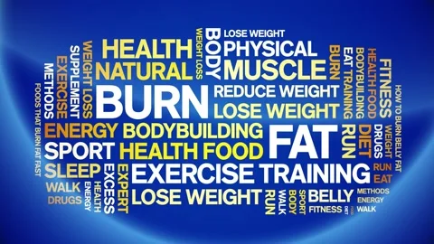 Belly Fat Loss Animation Stock Footage ~ Royalty Free Stock Videos | Pond5