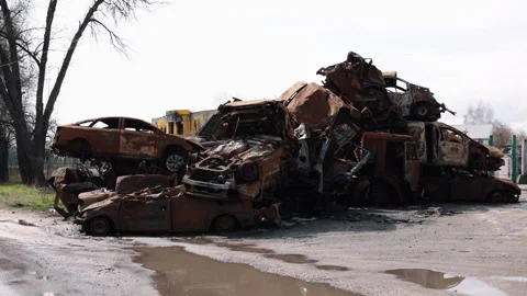 Car Cemetery Stock Videos – Royalty-Free HD & 4K Videos