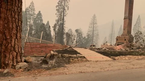 burned down town due to wildfires. | Stock Video | Pond5
