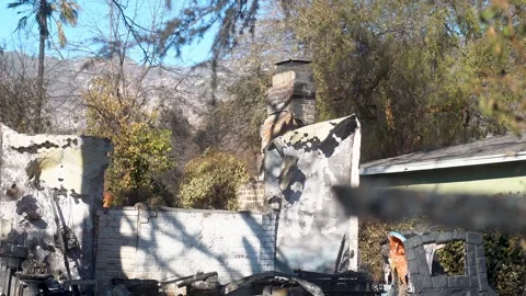 "Wals" "Jan" Set Stock Footage ~ Royalty Free Stock Videos | Pond5