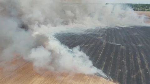 A burning agricultural field. A huge gra... | Stock Video | Pond5