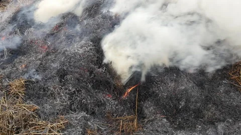 Hay Stack Stock Video Footage | Royalty Free Hay Stack Videos | Pond5