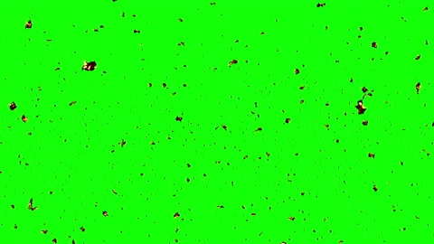 Burning ash flies on green screen | Stock Video | Pond5