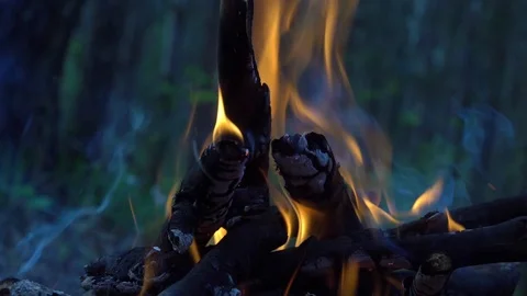 Burning bonfire in the forest. bonfire b... | Stock Video | Pond5