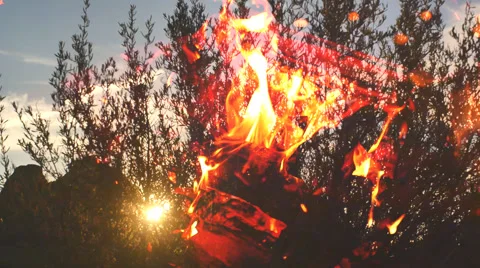 Burning Bush Church Stock Videos – Royalty-Free HD & 4K Videos | Pond5