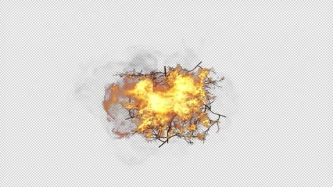 Burning Bush on fire with transparent ba... | Stock Video | Pond5