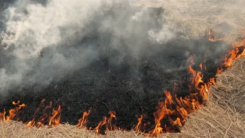 Burning Dust Stock Videos – Royalty-Free HD & 4K Videos