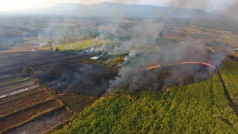 Burning fire on agricultural in thailand... | Stock Video | Pond5