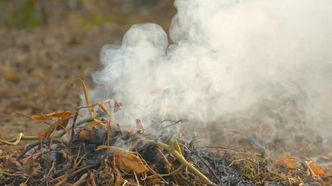 The burning fire and its smoke slowly fl... | Stock Video | Pond5