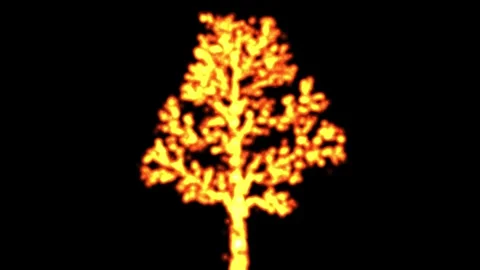 Burning fire tree motion graphics with p... | Stock Video | Pond5