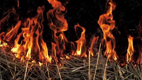 Hay Fire Stock Video Footage | Royalty Free Hay Fire Videos | Pond5