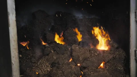 Flavored Whisky Stock Videos – Royalty-Free HD & 4K Videos