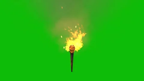Torch Green Screen Stock Videos – Royalty-Free HD & 4K Videos | Pond5