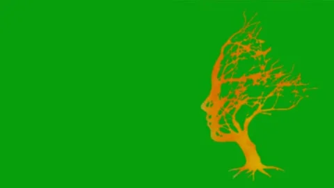 Burning tree motion graphics with green ... | Stock Video | Pond5