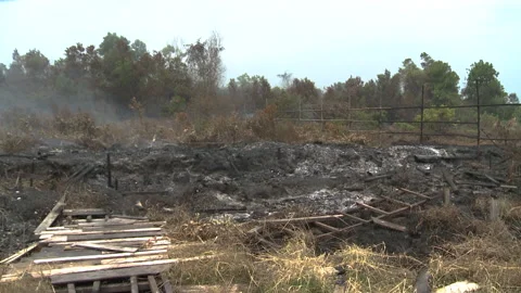 Burnt House after Peat Fire, Indonesia | Stock Video | Pond5