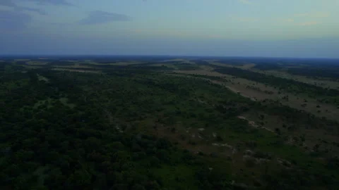 bush landscape after sunset in Chad, Afr... | Stock Video | Pond5