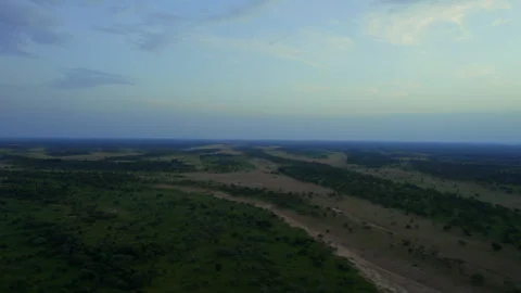 bush landscape after sunset in Chad, Afr... | Stock Video | Pond5