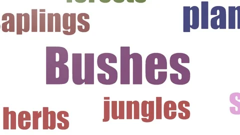 Bushes Isolated Stock Video Footage | Royalty Free Bushes Isolated ...