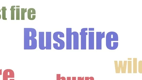 Bushfire Word Cloud Animated On White Ba... | Stock Video | Pond5