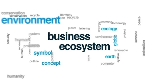 Business ecosystem animated word cloud, ... | Stock Video | Pond5