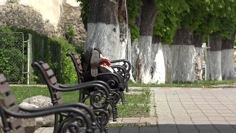 businessman lying down on bench in natur... | Stock Video | Pond5