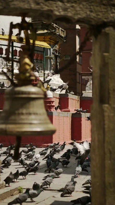 Kathmandu Road Stock Videos – Royalty-Free HD & 4K Videos