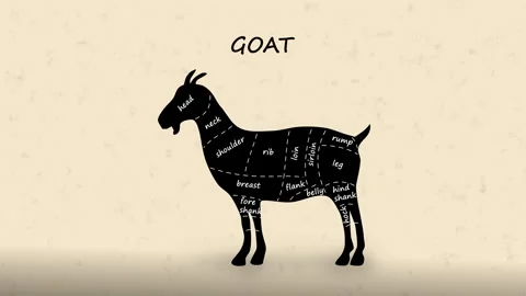 Butcher Diagram Sections of Goat Cut Ani... | Stock Video | Pond5