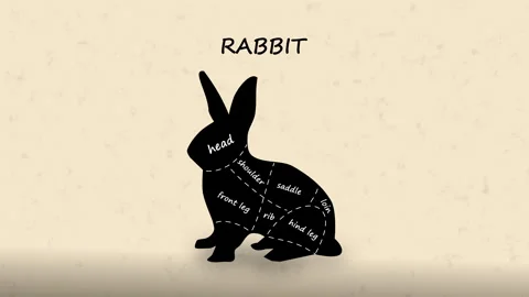Butcher Diagram Sections of Rabbit Cut A... | Stock Video | Pond5