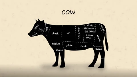 Butcher Meat Diagram Sections of Cow or ... | Stock Video | Pond5