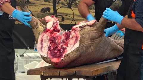 Pig Slaughter Stock Videos – Royalty-Free HD & 4K Videos | Page 5