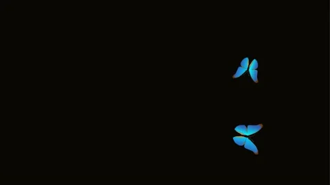 butterflies background and 2d animation,... | Stock Video | Pond5