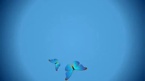 butterflies background and 2d animation,... | Stock Video | Pond5