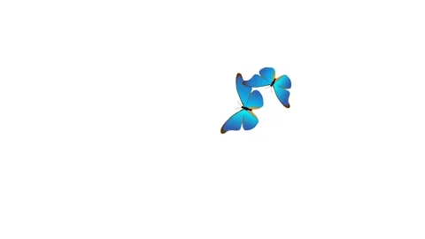 butterflies background and 2d animation,... | Stock Video | Pond5