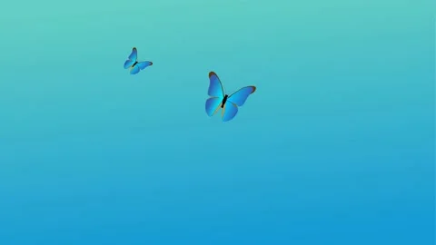 butterflies background and 2d animation,... | Stock Video | Pond5
