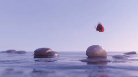 Butterfly Ueffect Stock Videos – Royalty-Free HD & 4K Videos