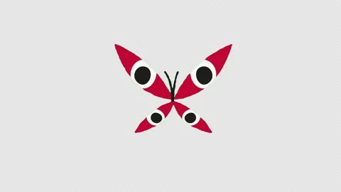 butterfly icon loop Animation video tran... | Stock Video | Pond5