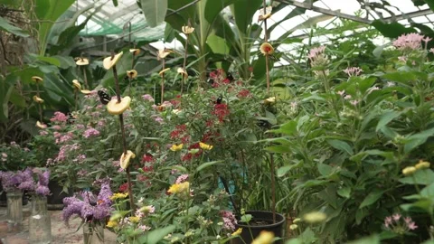 In The Santuary Stock Videos – Royalty-Free HD & 4K Videos