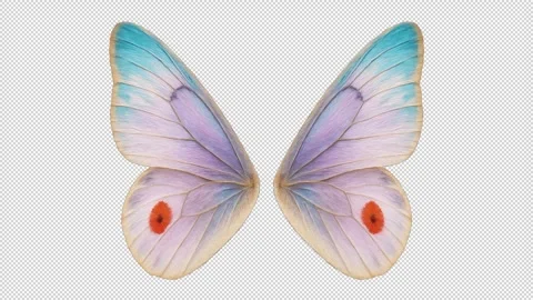 Butterfly wings – looped with alpha ch... | Stock Video | Pond5