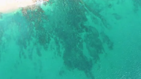 BUZZARDS BEACH EAST CAPE BCS MEXICO-2023... | Stock Video | Pond5