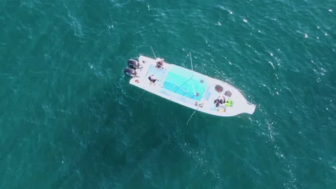 BUZZARDS BEACH EAST CAPE BCS MEXICO-2023... | Stock Video | Pond5