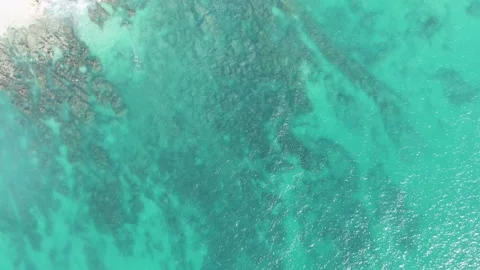 BUZZARDS BEACH EAST CAPE BCS MEXICO-2023... | Stock Video | Pond5