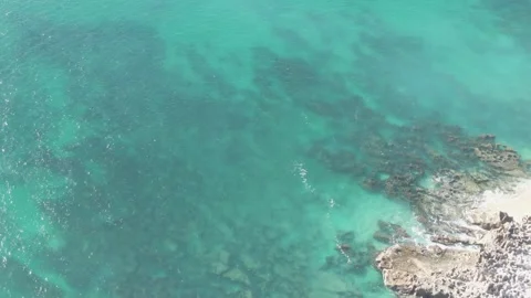 BUZZARDS BEACH EAST CAPE BCS MEXICO-2023... | Stock Video | Pond5