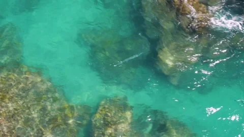 BUZZARDS BEACH EAST CAPE BCS MEXICO-2023... | Stock Video | Pond5